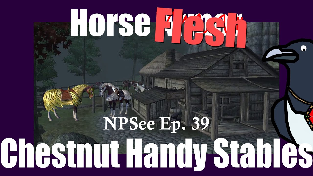 NPSee Oblivion Episode 39 - Chestnut Handy Stables - Horse Flesh - YouTube