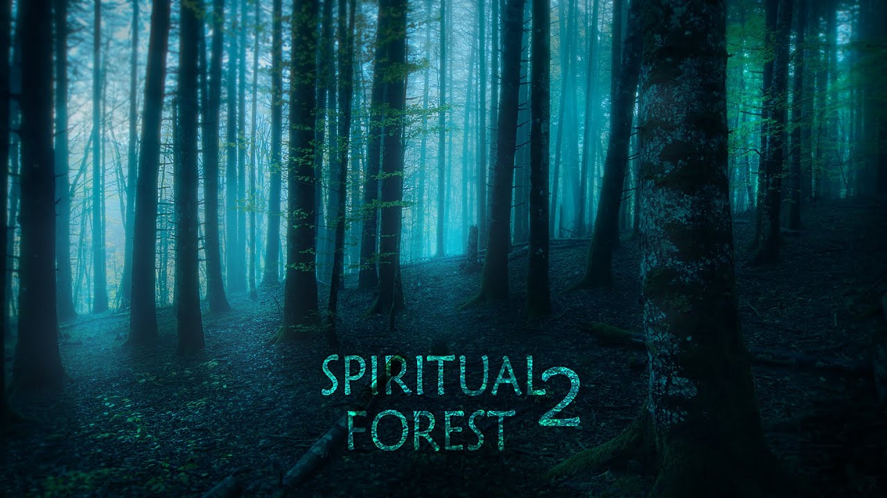 Spiritual Forest 2: Immersive Nature Journey - fog deepness meditation ...
