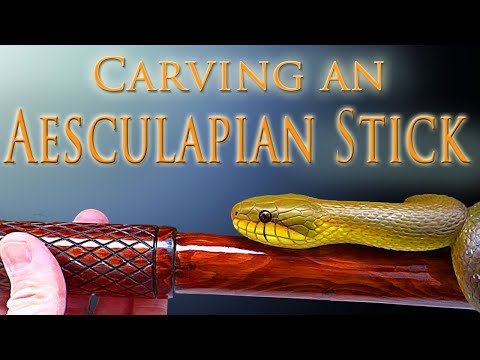 Carving an Aesculapian Snake Walking Stick