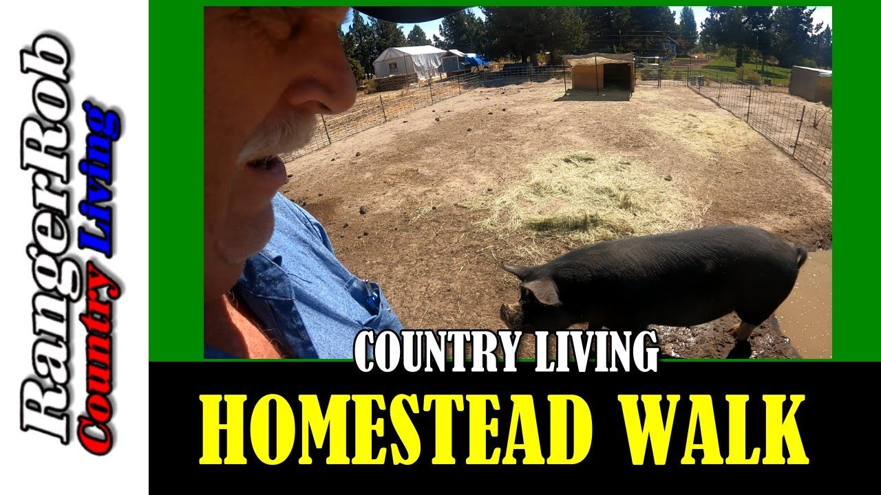 Homestead Walk, Planning The Future - YouTube