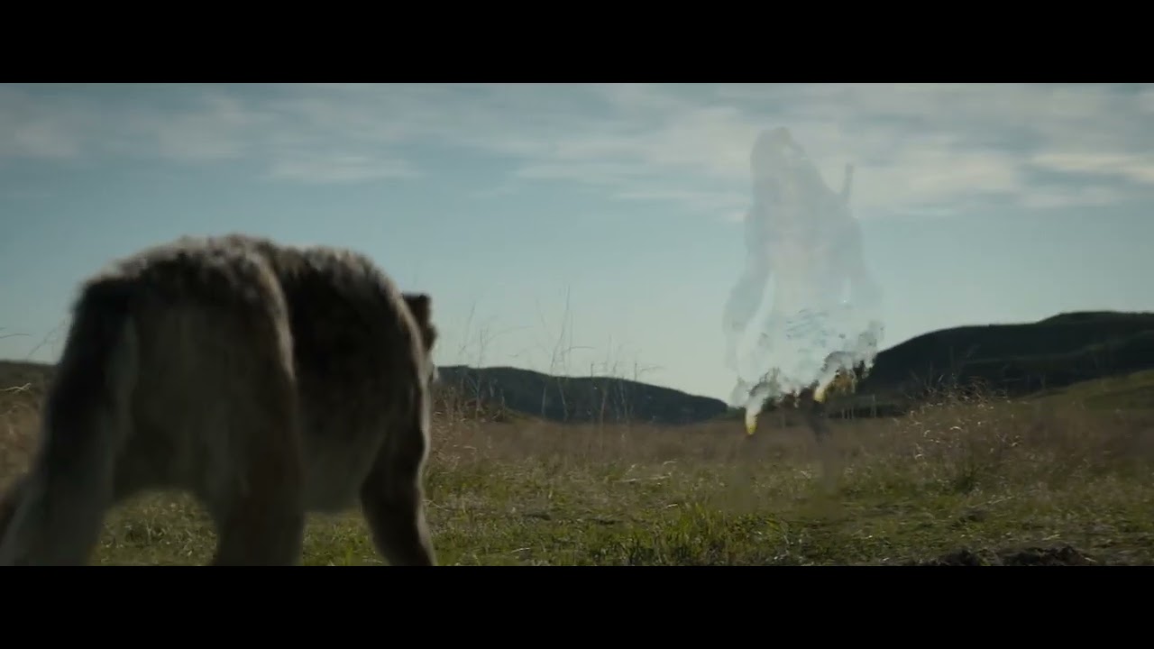 predator saves rabbit from fox must watch movie prey 2022 - YouTube