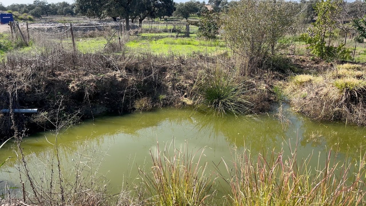 Grey water pond FILLED UP and making FIRE - YouTube