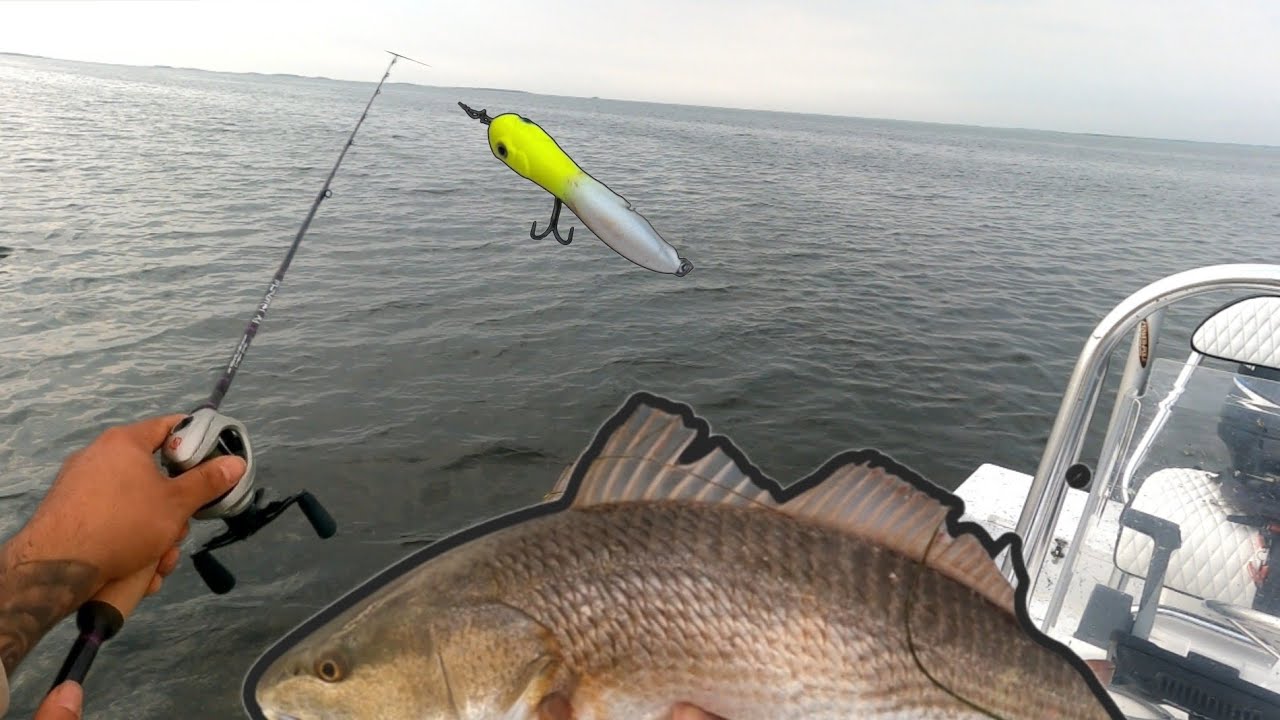Top water bite was insane! Limits caught Port Mansfield Tx - YouTube