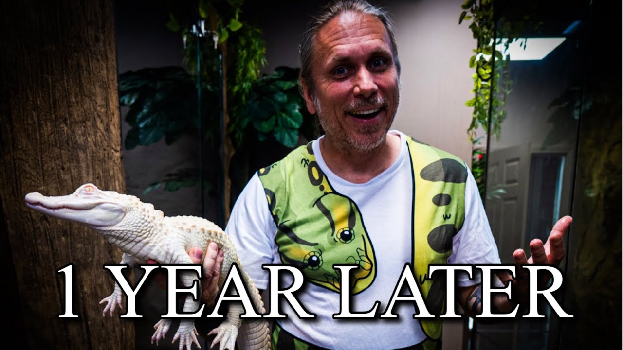 1 Year Later - YouTube