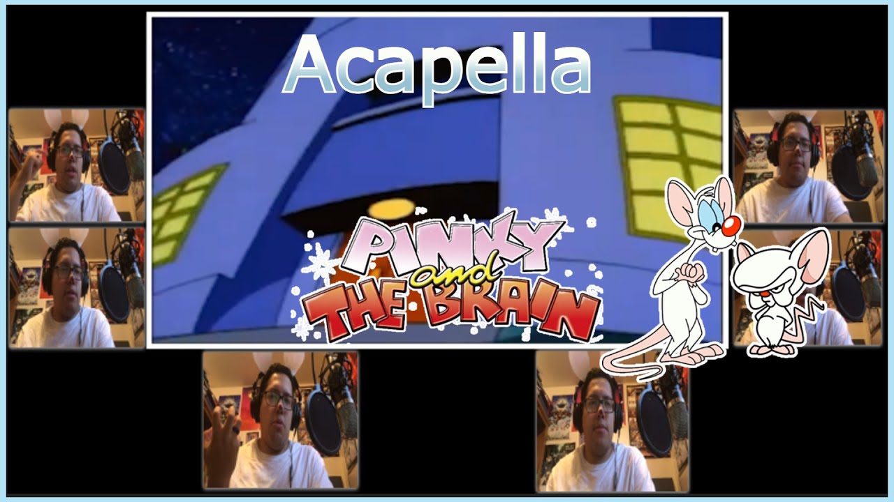 Pinky and the Brain Theme - Acapella - YouTube