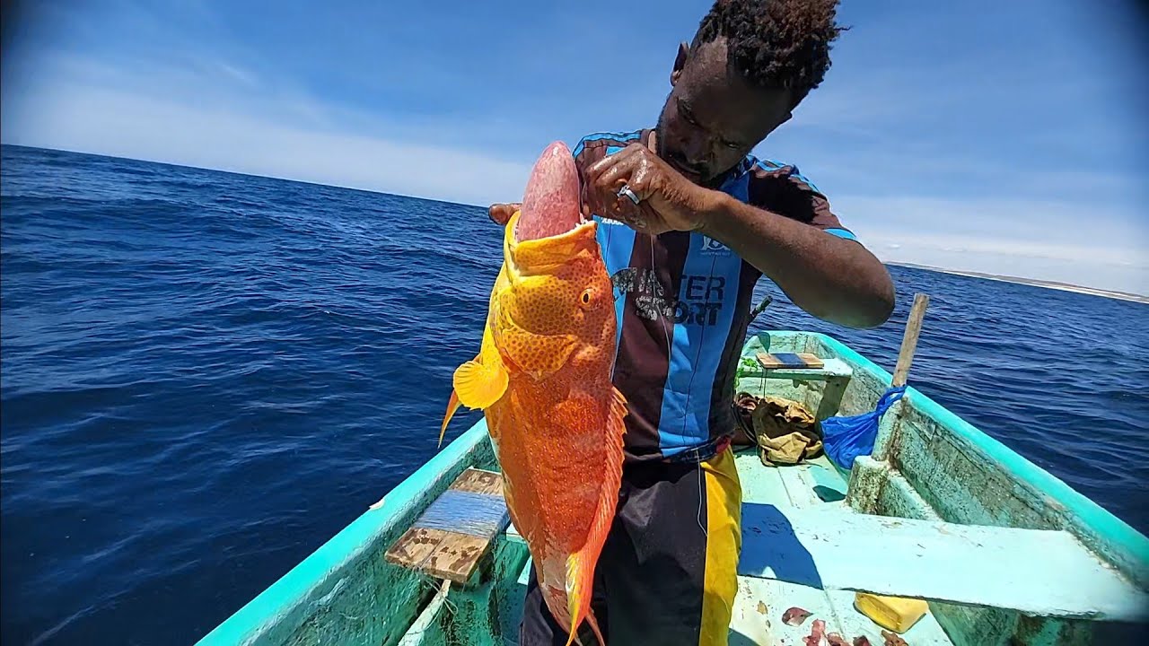 how to catch a grouper fish amazing fishing videos handline fish in ...