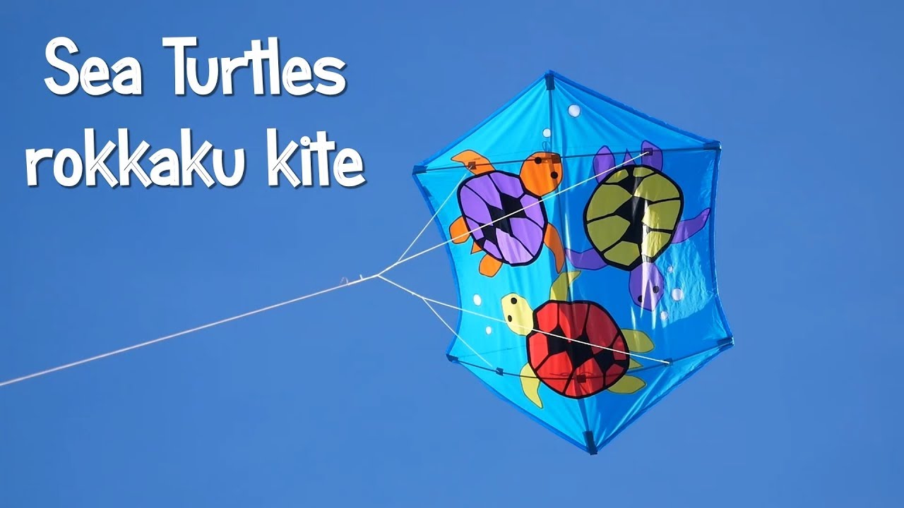 Rokkaku Kite