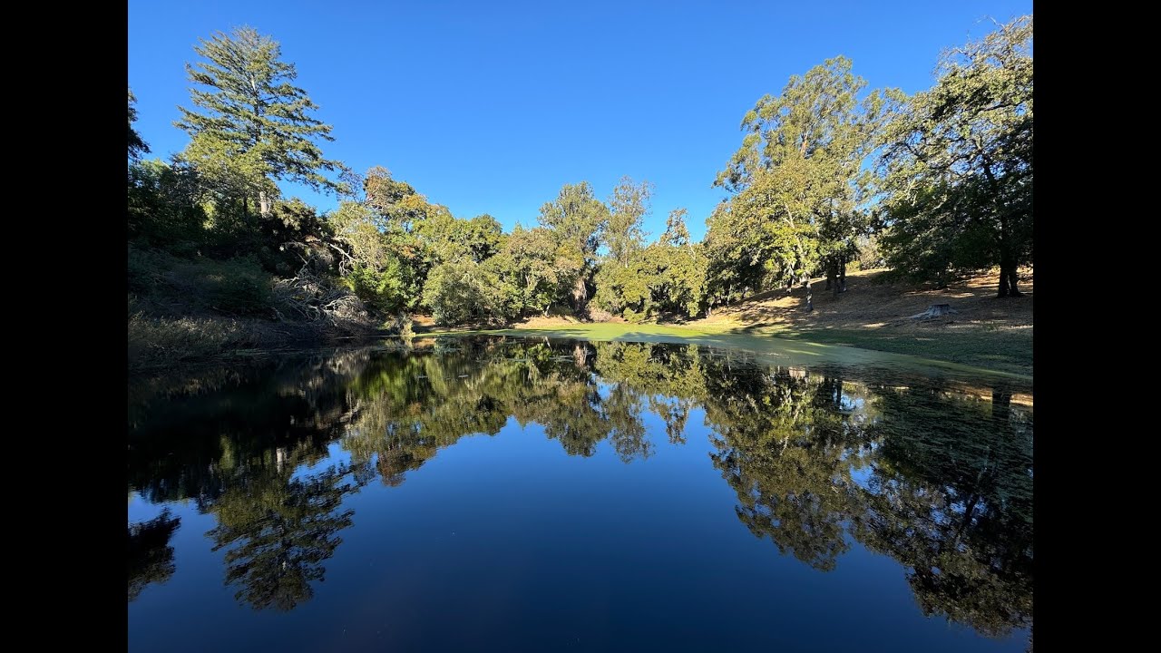 Coal Mine Ridge Nature Preserve of Portola Valley Ranch, CA - YouTube