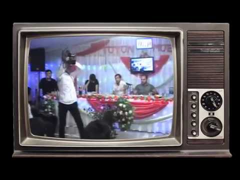 Perviz bulbule- Bandadilar