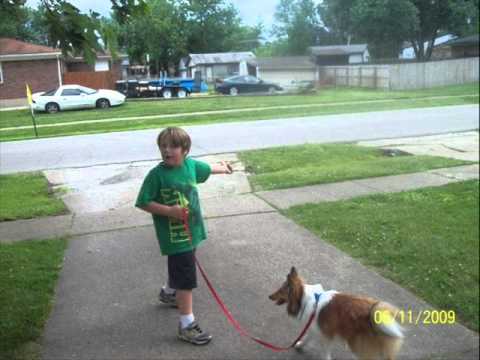 CPS Corruption - YouTube