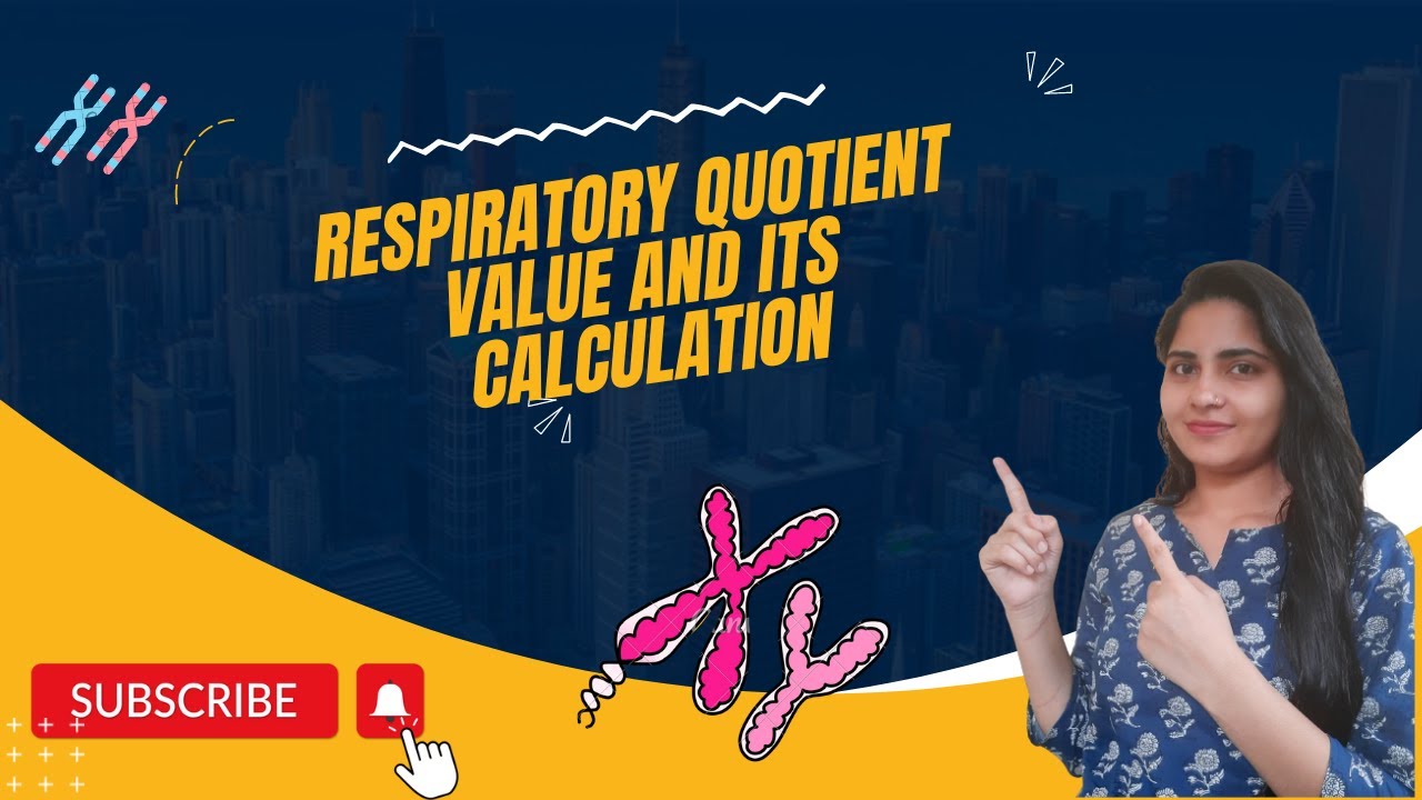 Respiratory Quotient Value and its calculation || TGT || PGT || LT ...