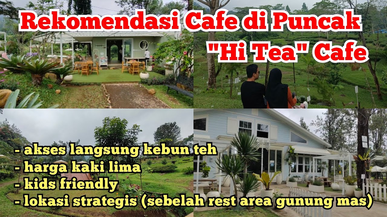 Rekomendasi Cafe di Puncak | Kids friendly & dikelilingi kebun teh | Hi ...