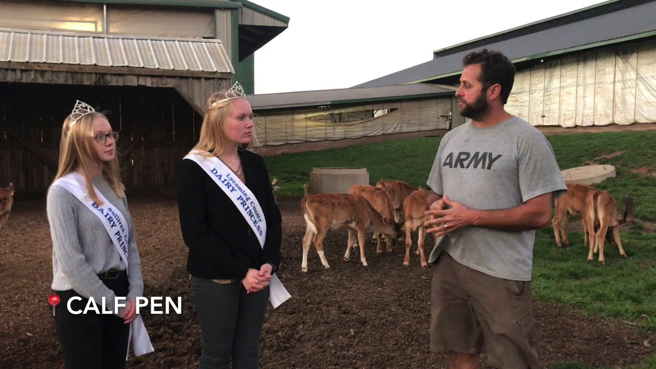 Farm Tour Sugar Branch Farms - YouTube
