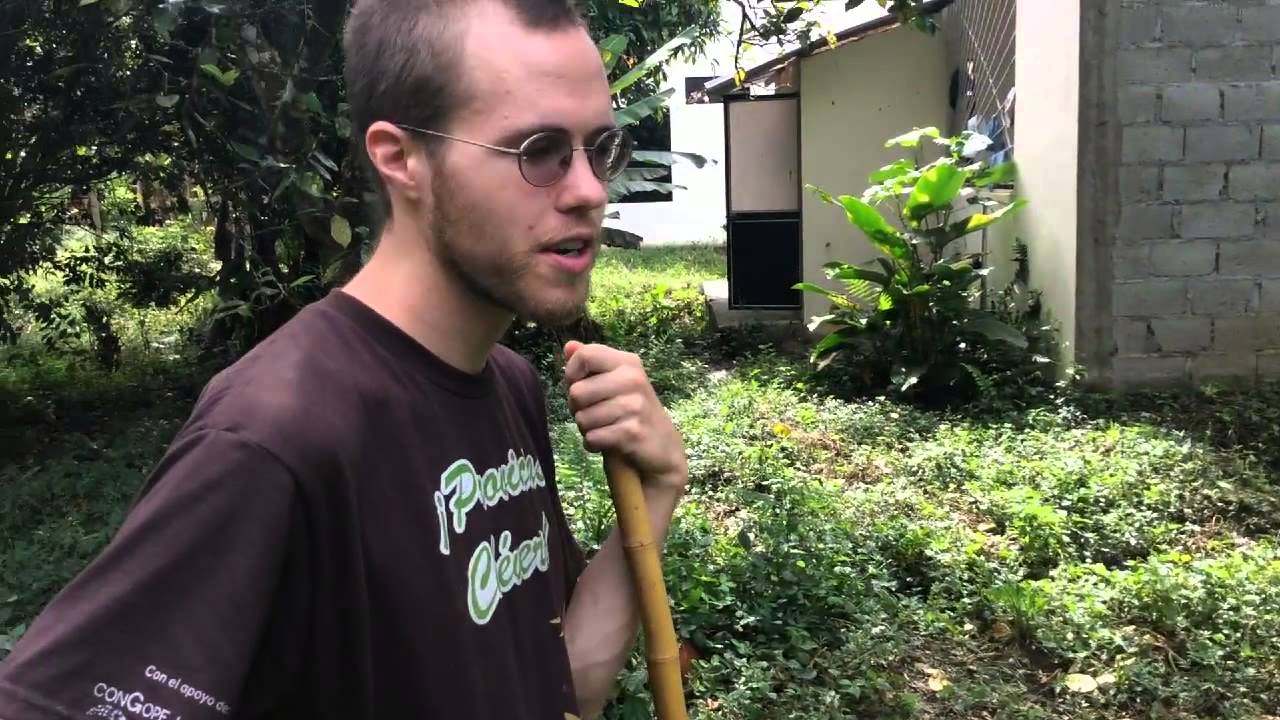 Chonta Palm: South America Tropical Plants - YouTube