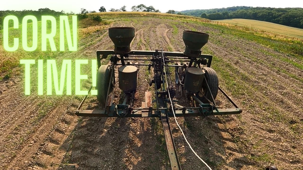 Farmall 504 planting Corn w/ Oliver planter - YouTube
