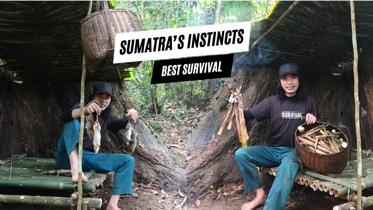 Harvesting Wild Mice, Finding and Digging Up Wild Bamboo Shoots At The ...