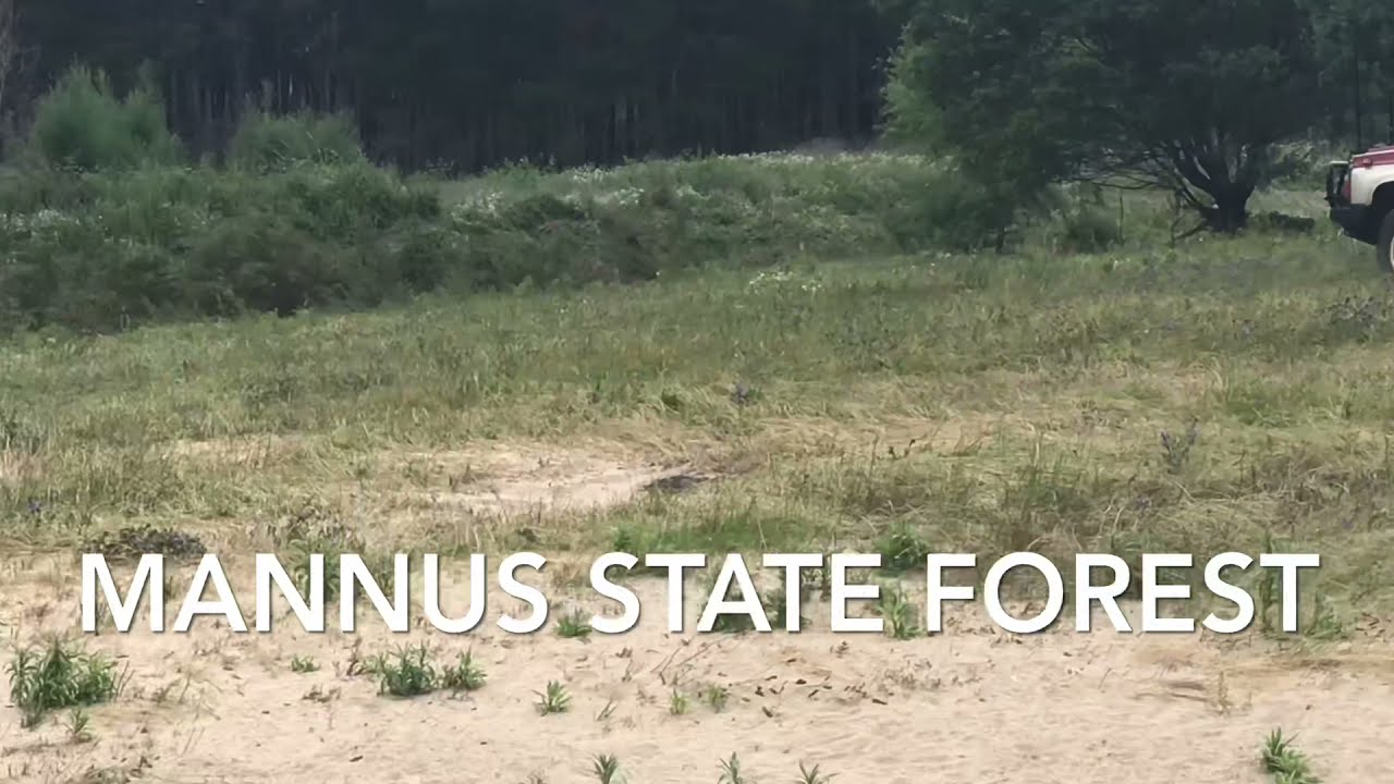 Mannus State Forest Hunt 30-11-21 - YouTube