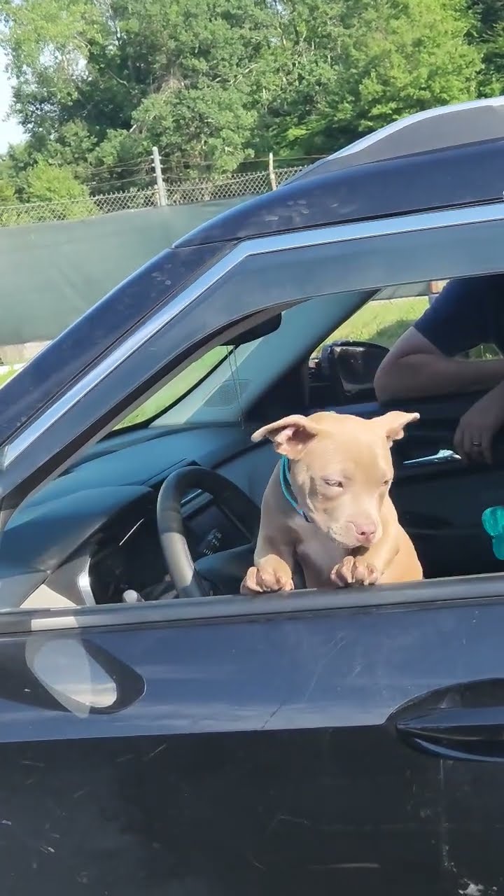 am I cute, rate in comments - YouTube