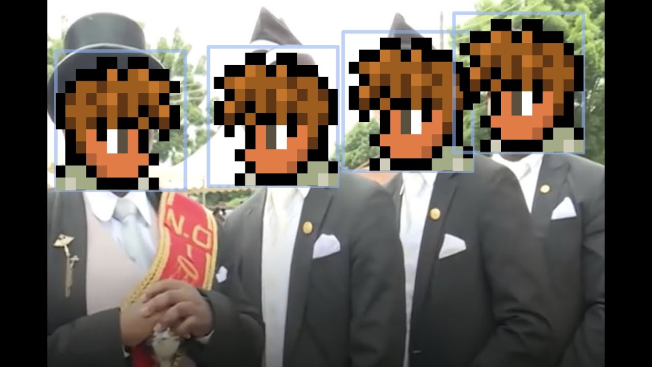 Terraria: Coffin Dance - YouTube