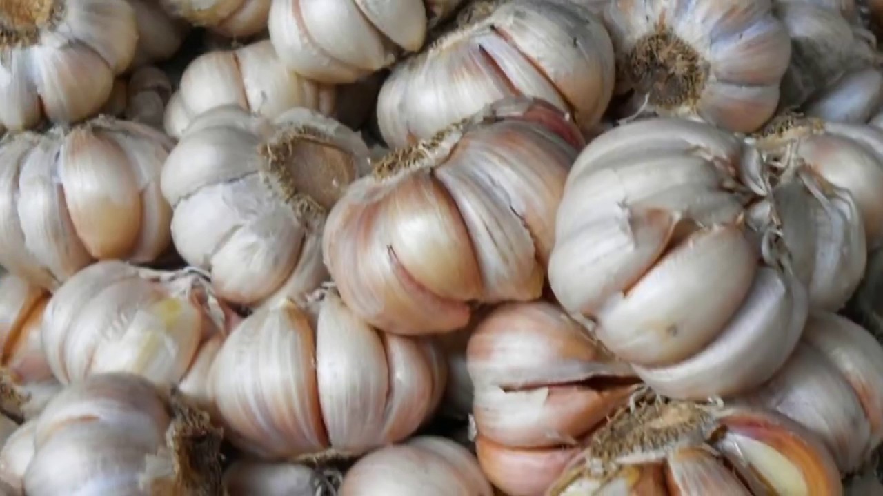 HOW TO AVOID BLEACHED AND CHEMICAL LADEN GARLIC FROM CHINA - YouTube