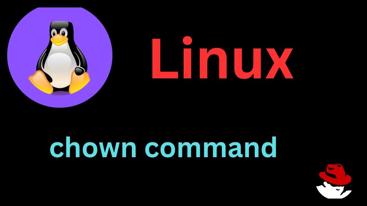 26/50 Basic Linux Commands | chown command Explained #shortsvideo #linux #linux_tutorial - YouTube