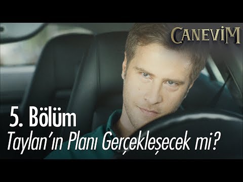 Taylan'ın planı gerçekleşecek mi? - Canevim 5. Bölüm