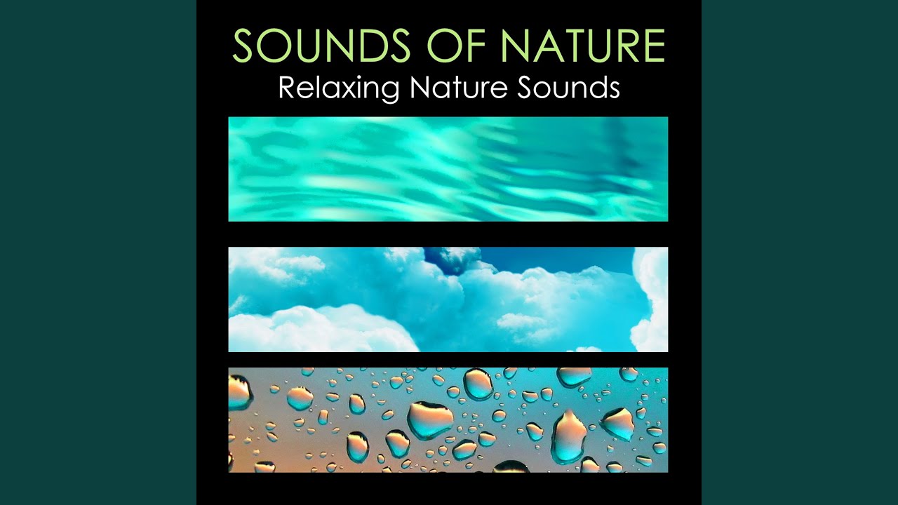 Underwater Deep Sea Sounds Binaural Sound Recording - YouTube Music