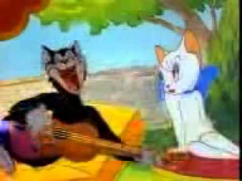 Küfür Baz Kedi :))