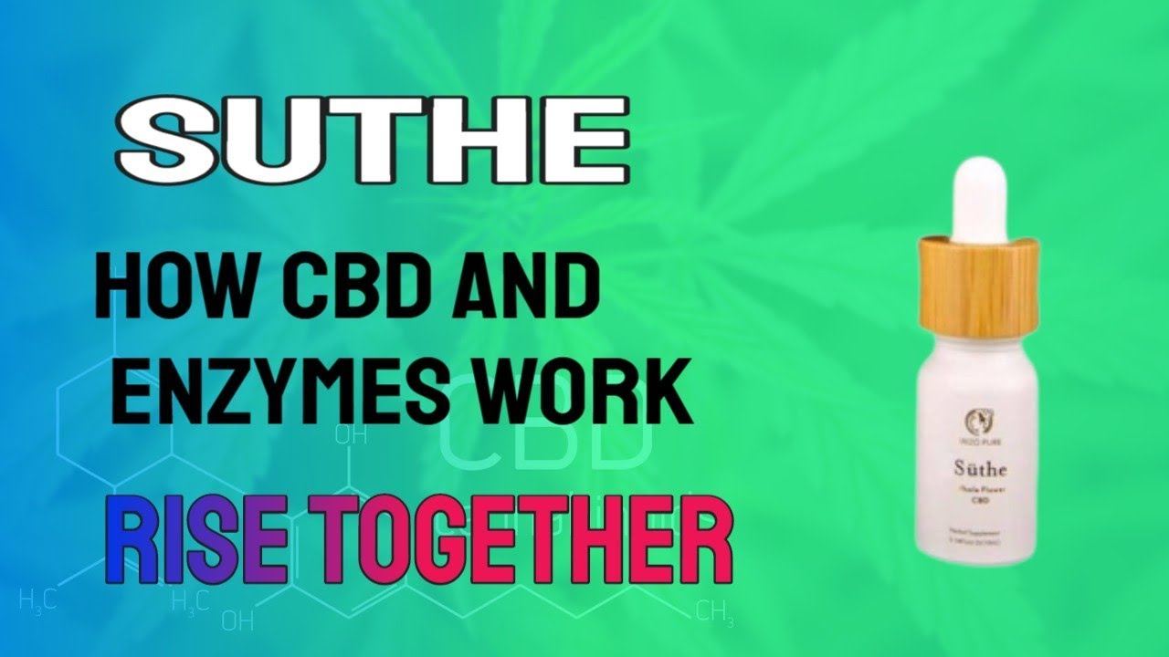 Tranont Health 2019 | How Suthe CBD and Enzymes Work | Rise Together ...