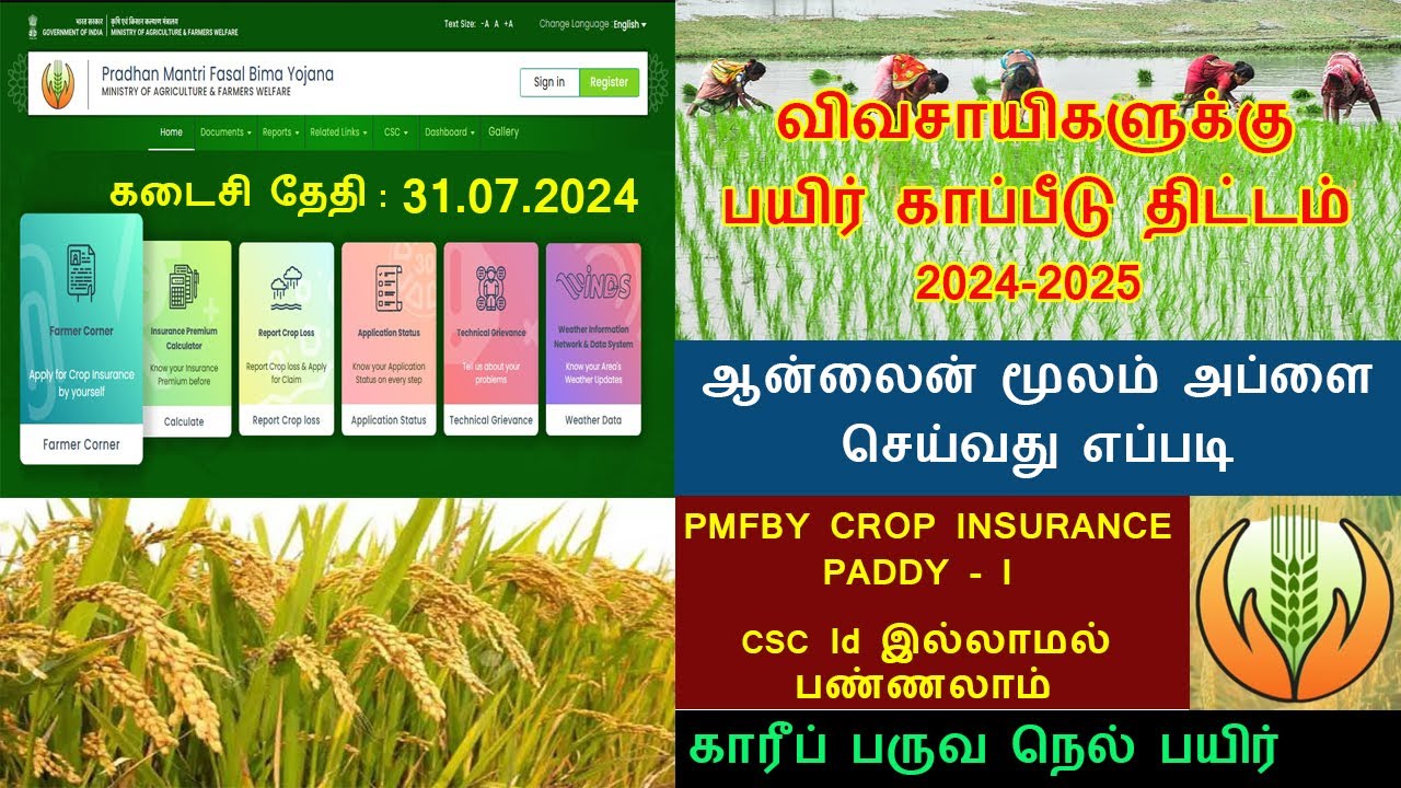 பயீர் காப்பீடு செய்வது எப்படி 2024 | PMFBY CROP INSURANCE 2024 | CSC id ...