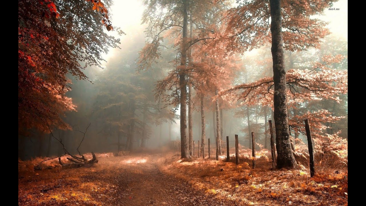 Icosphere - Fall In Deep (Atmospheric\Ambient) - YouTube