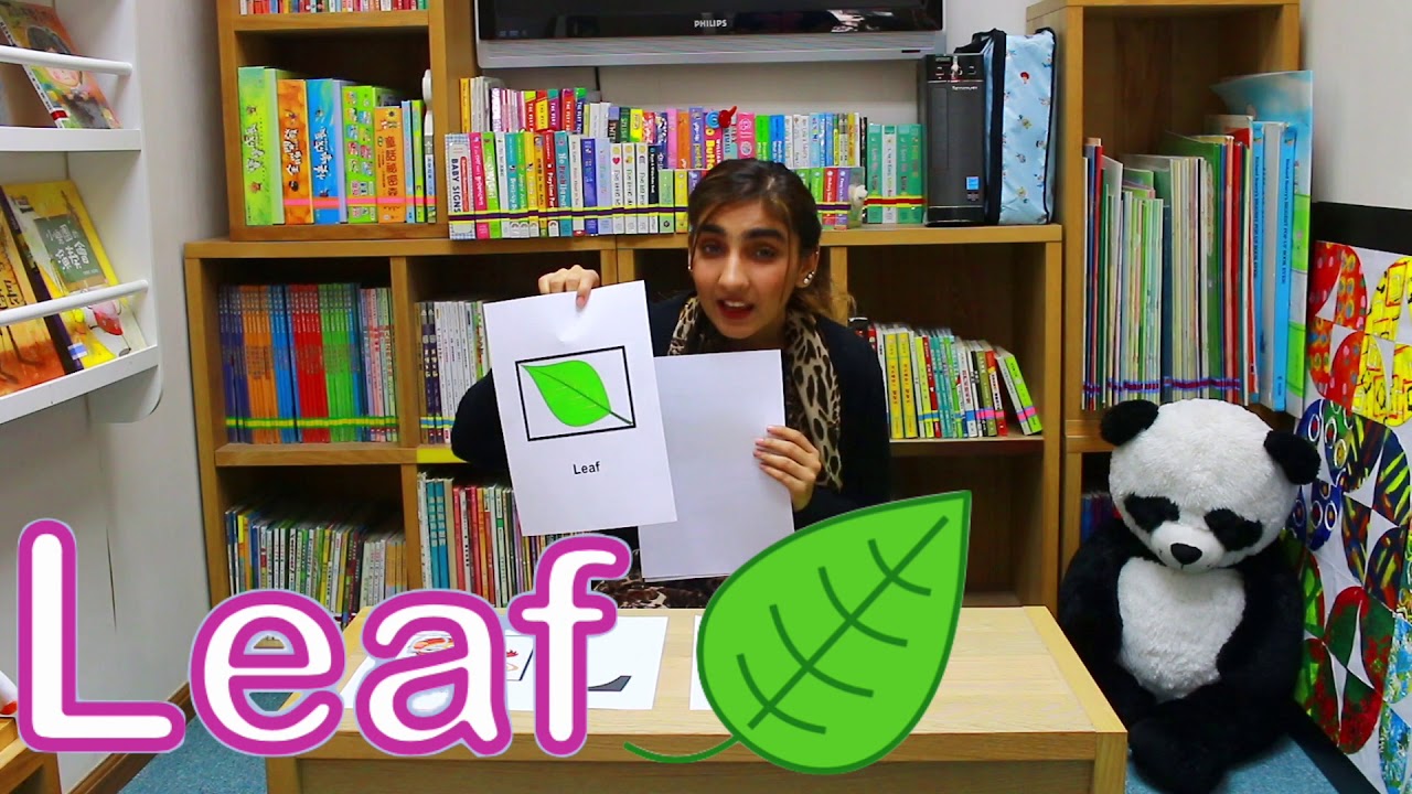 PHONICS TIME -- L - YouTube