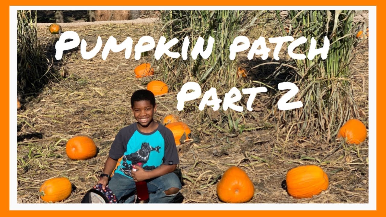 Pumpkin patch pt2| Fall Fun| Large Family Vlogs| Family of 8 - YouTube