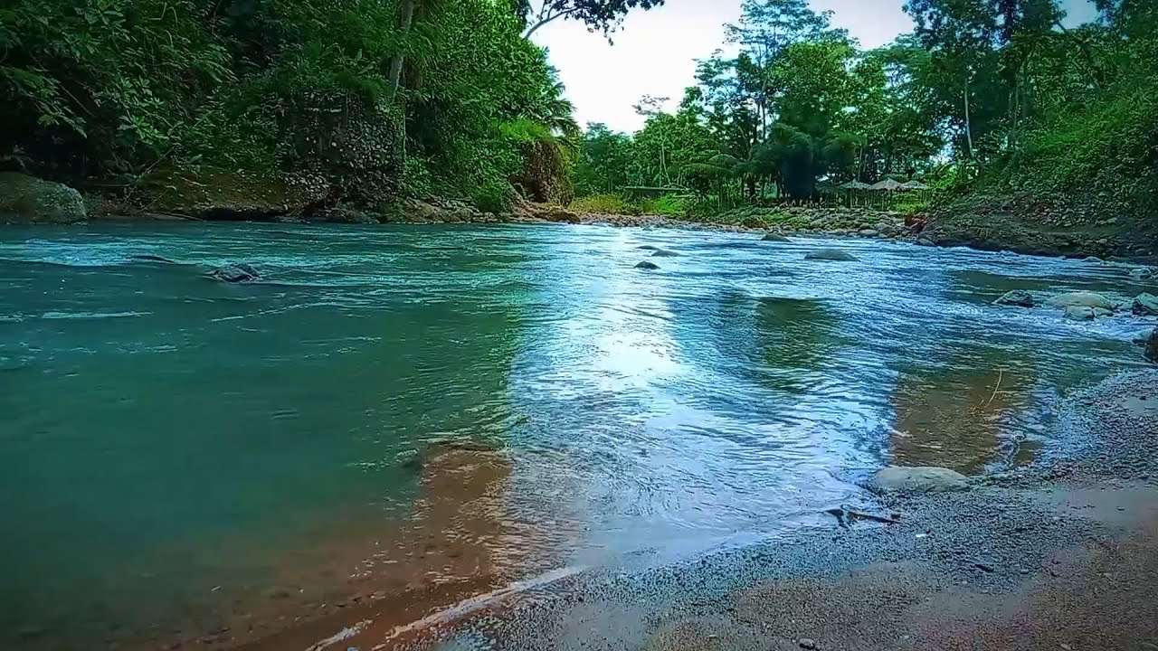 Soothing Harp Music and River Flow for Peaceful Sleep - YouTube