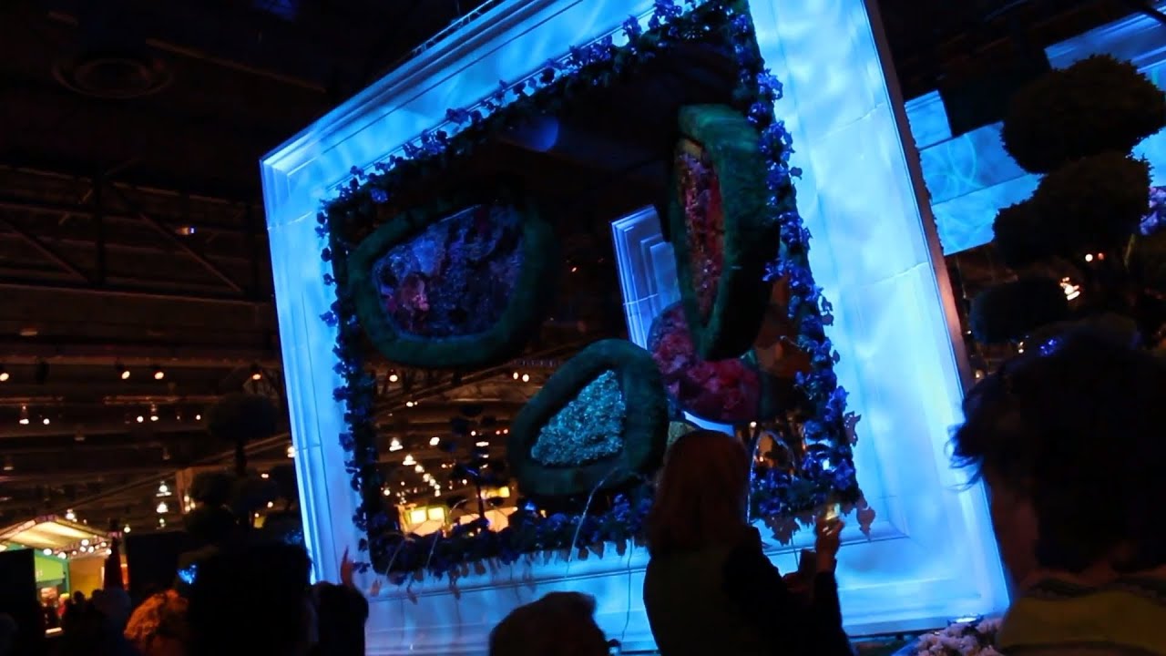 STK! at the Philadelphia Flower Shower - YouTube