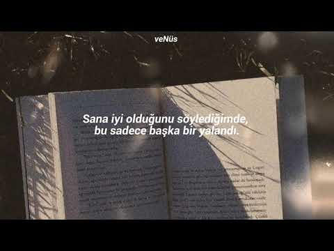 Alan Walker & JOP - OK   || Türkçe Çeviri