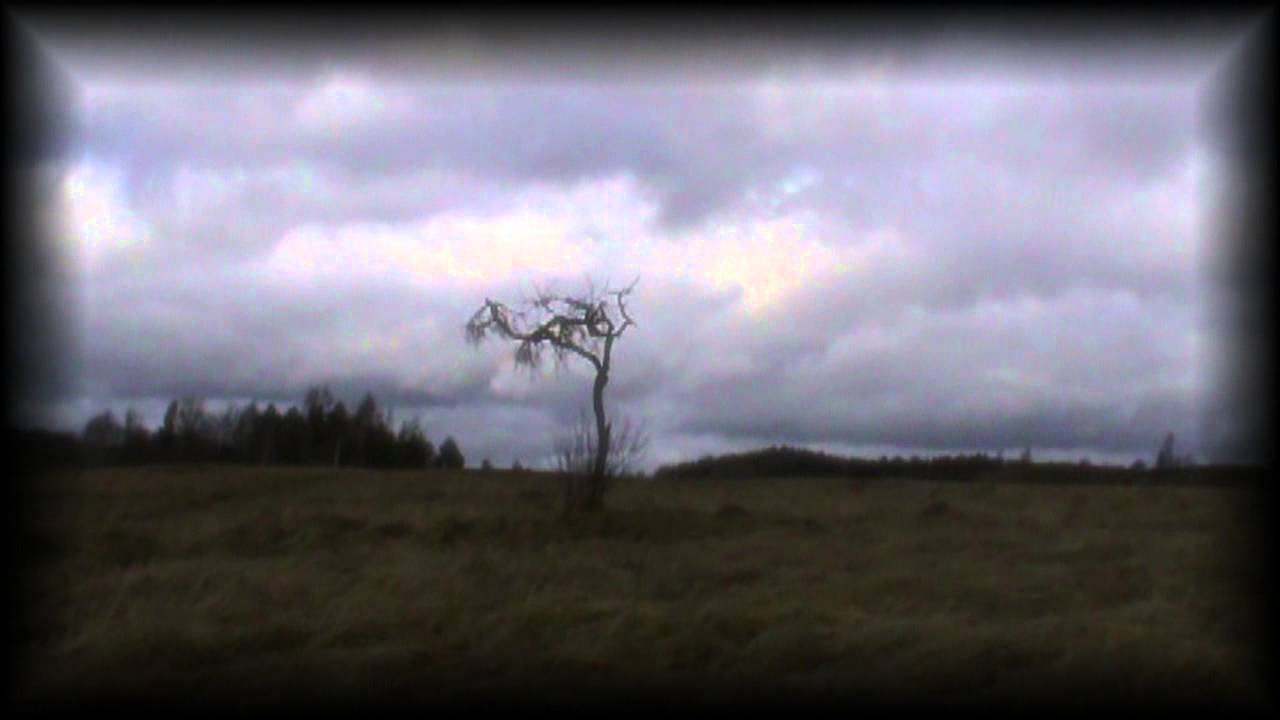 Ray Montford - Shed Your Skin (video by mrsdelirium) - November version ...