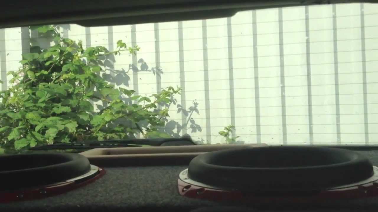 Woofer Excursion 30mm xmax Orion hcca 12'' subs & mmat amps - YouTube