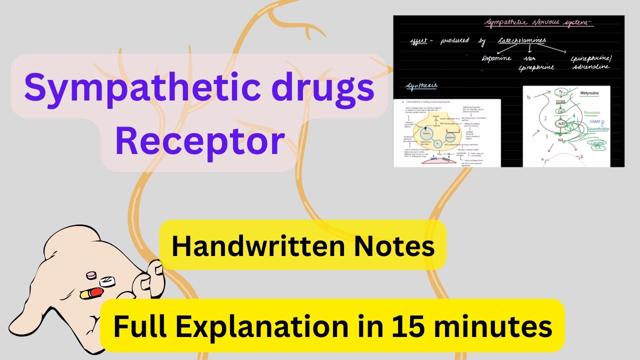 Sympathetic drugs Receptor full Explained in 15 minutes with Hand ...