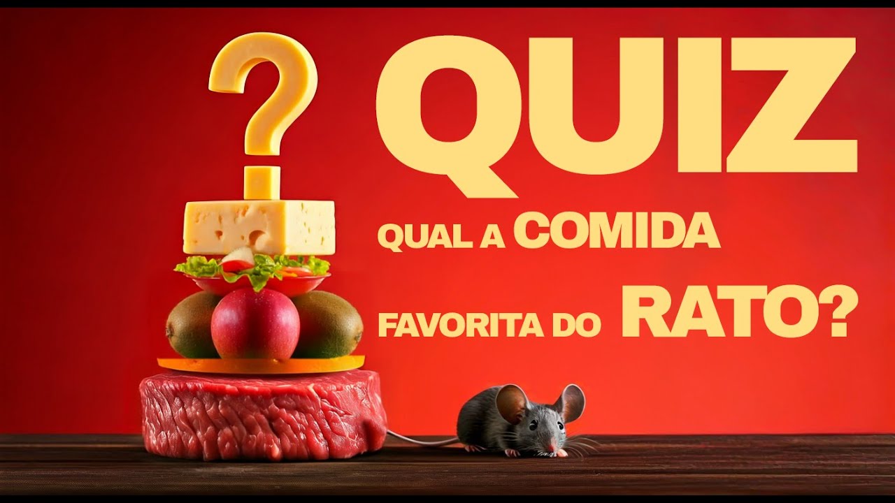 QUAL A COMIDA FAVORITA DO RATO? - YouTube