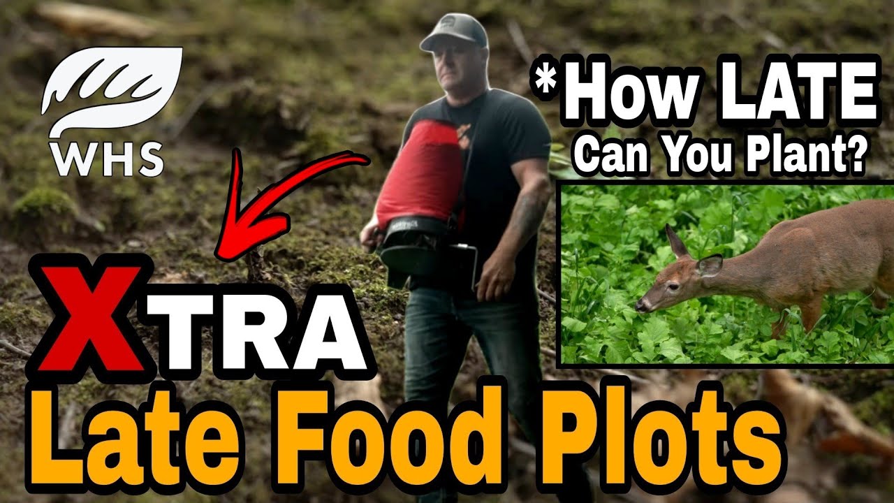 Last Minute Food Plots - YouTube