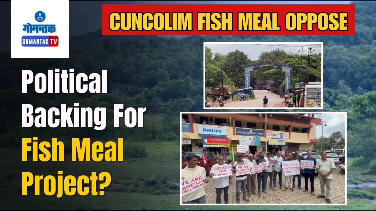 Cuncolim News - Cuncolim tensions peak amid fish meal row | Gomantak TV ...