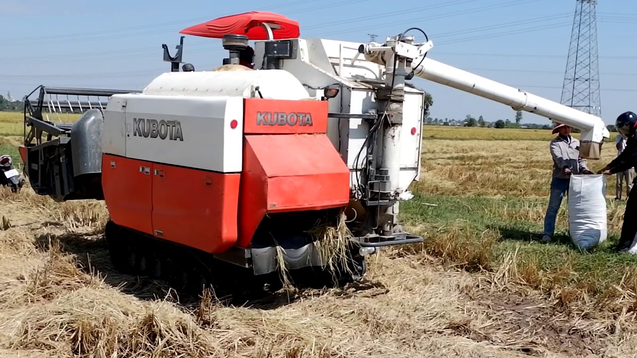 Action of transferring rice from harvester machine to rice bags - Kumpo ...