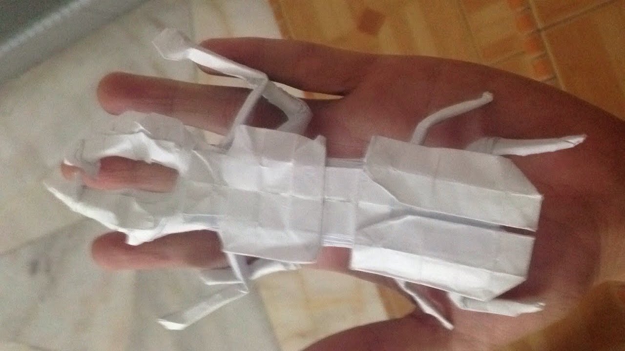 Origami Stag Beetle Demo - YouTube