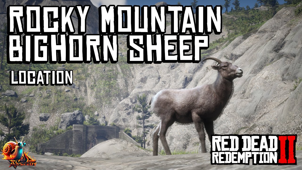 Rocky Mountain Bighorn Sheep Location - Red Dead Redemption 2 - YouTube
