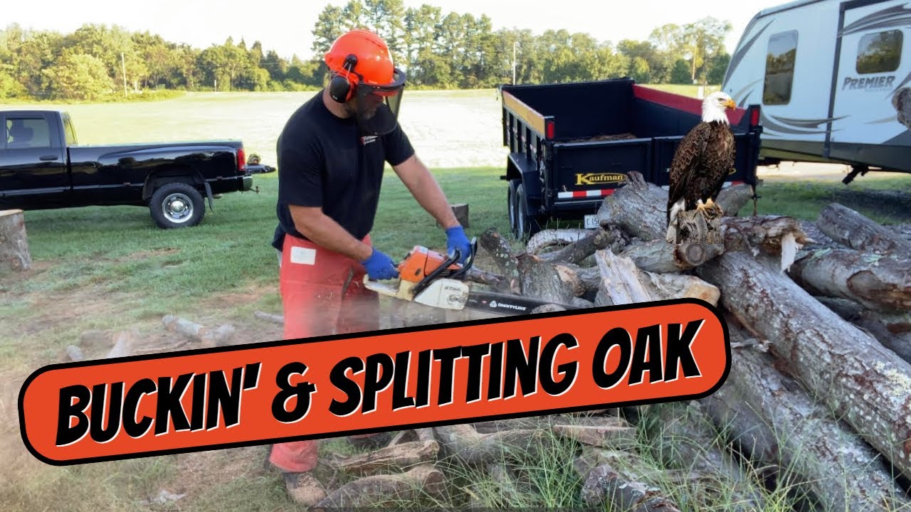 BUCKIN’ and SPLITTING OAK - #41 - YouTube