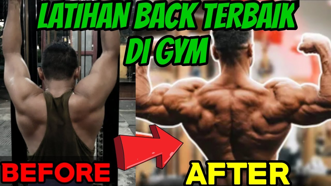 LATIHAN BACK TERBAIK DI GYM ( LANGSUNG JADI ) // MUSCLE ERFANS - YouTube