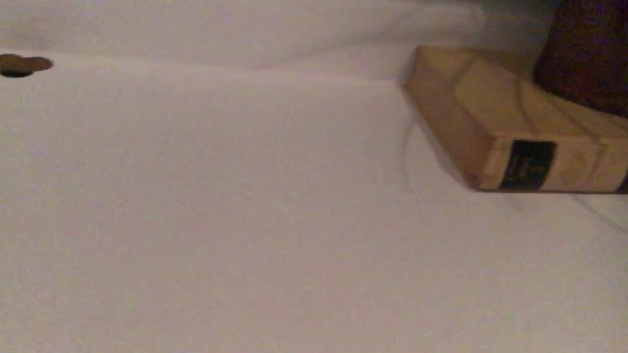 White Pikmin Running Fast Right and Left in Slo-mo - YouTube