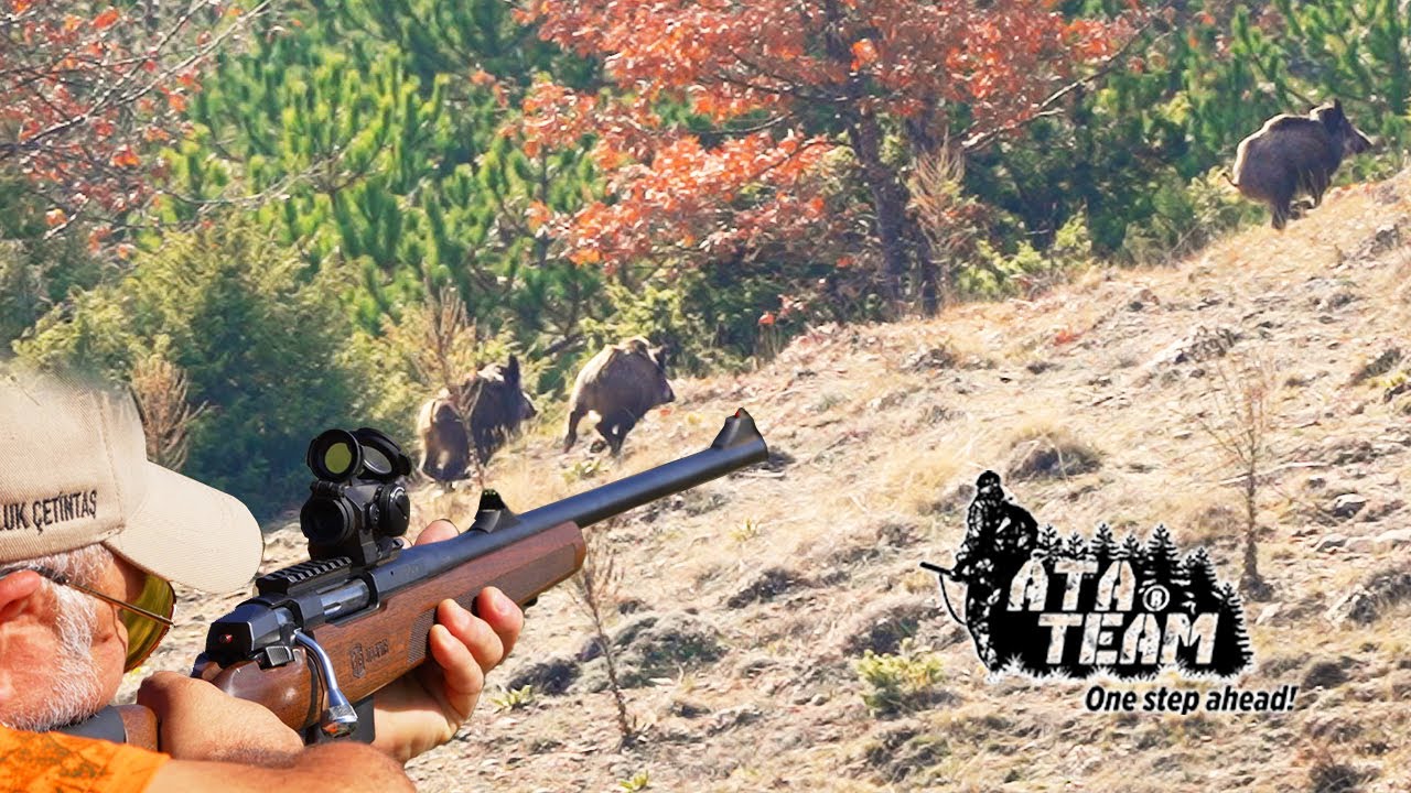 ATA TEAM Wildboar Hunting Domuz Avi - YouTube