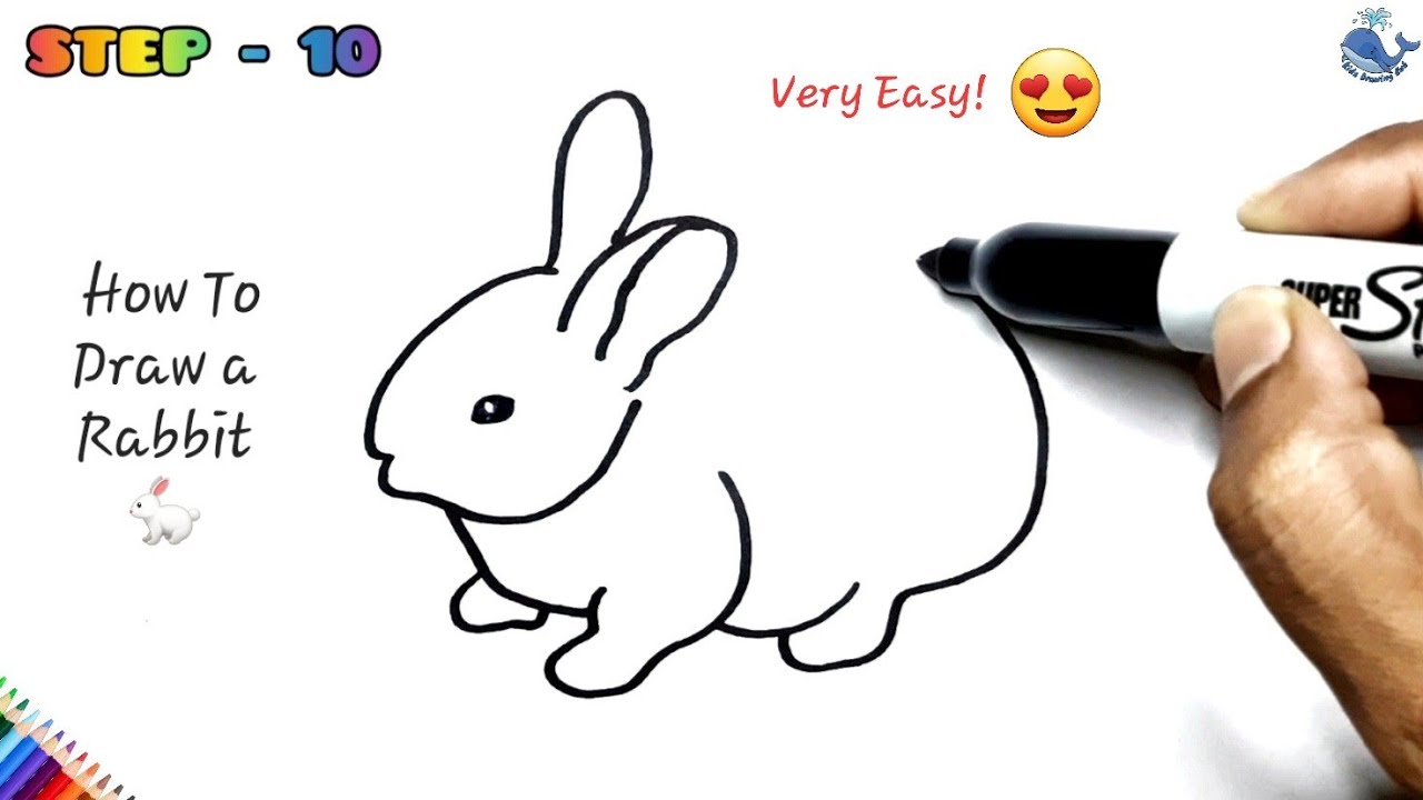 How To Draw a Rabbit | Kids Step By Step Drawing Tutorial | Kids ...